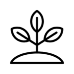 Washington County Landscapes | Landscape Services Brenham, TX